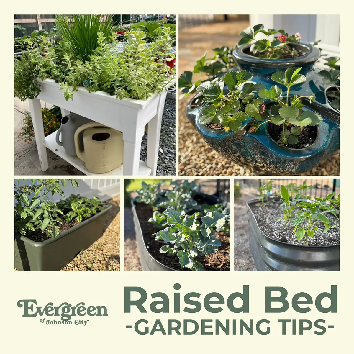 Considering Raised Bed Gardening? - Evergreen of Johnson City, TN